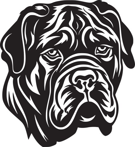 Cane Corsos Vector Images (over 270)