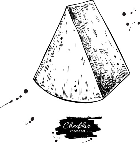 Camembert cheese block and triangle drawing Vector Image