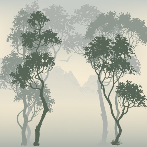 Forest Vector Images (over 670,000)