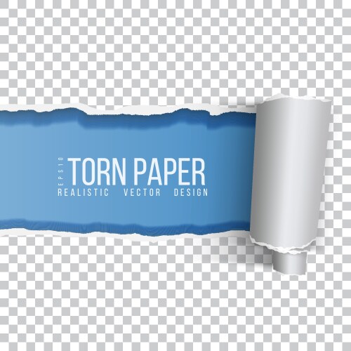 Torn paper piece realistic banner Royalty Free Vector Image