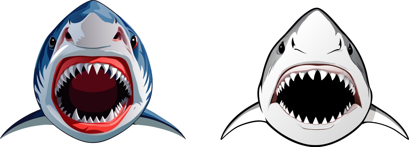 Shark Open Mouth Drawing Vector Images (76)