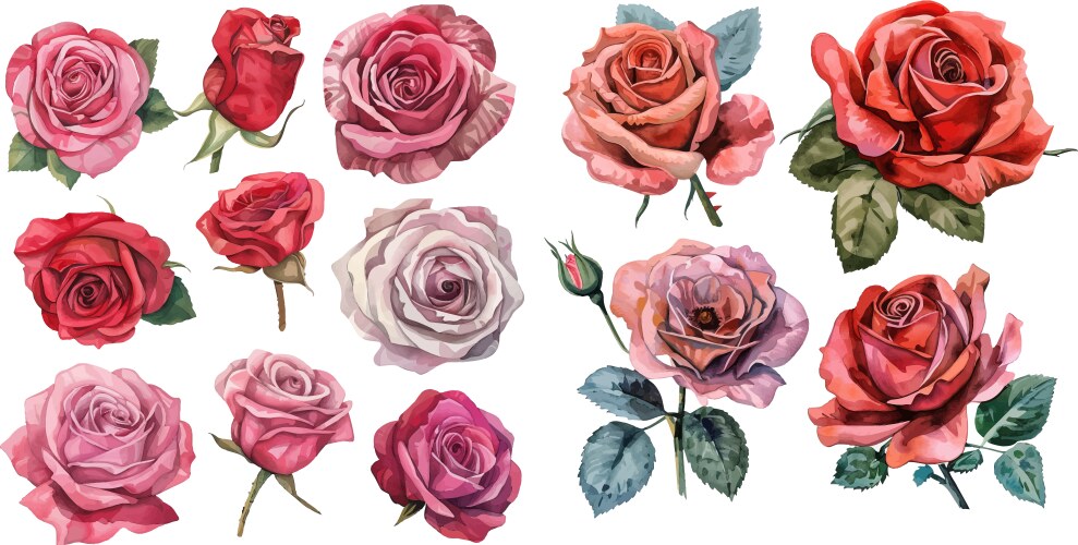 Roses Vector Images (over 290,000)