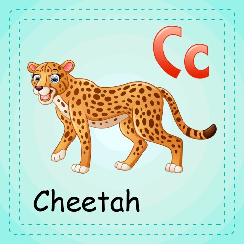 Animals alphabet c is for cheetah Royalty Free Vector Image