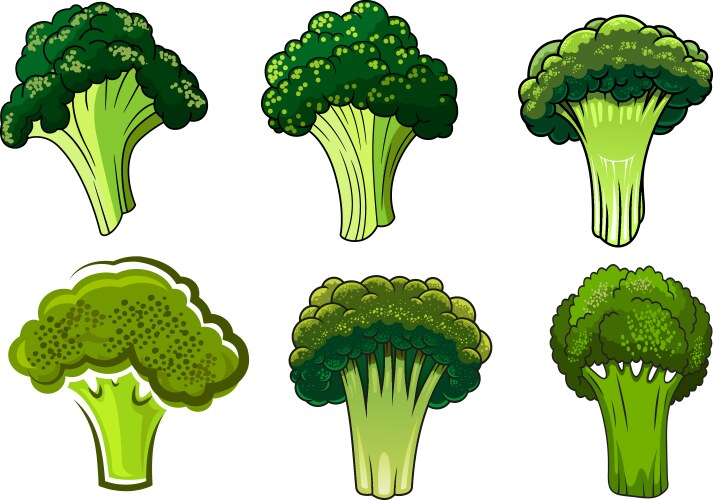 Broccoli Cartoon Vector Images (over 9,200)