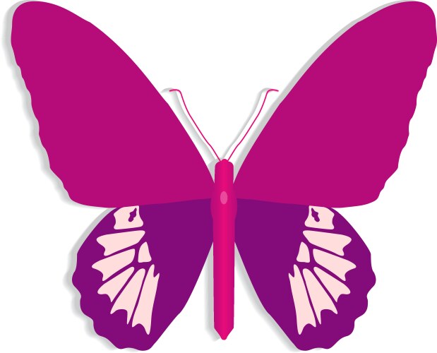 Pink butterfly flat design isolated on white Vector Image