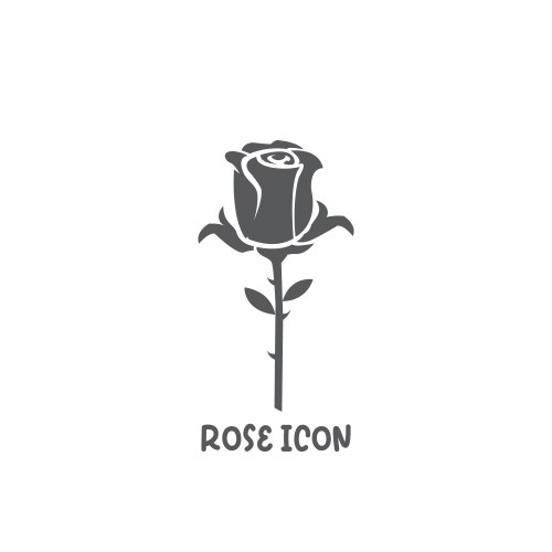 White rose Royalty Free Vector Image - VectorStock
