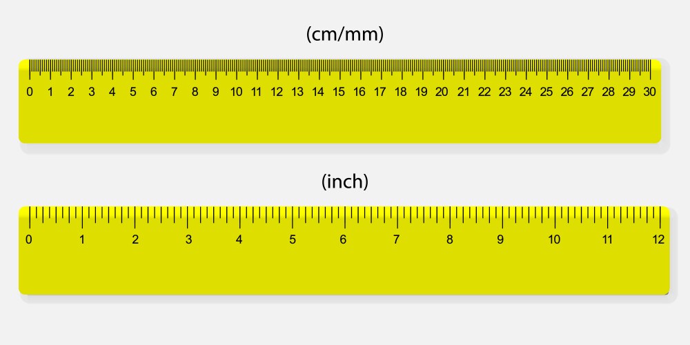 Rulers in centimeters Royalty Free Vector Image