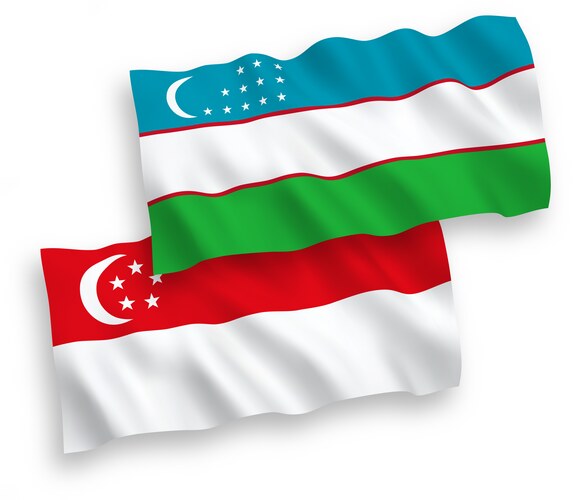 Singapore Flag - White Background – Royalty-Free Vector | VectorStock