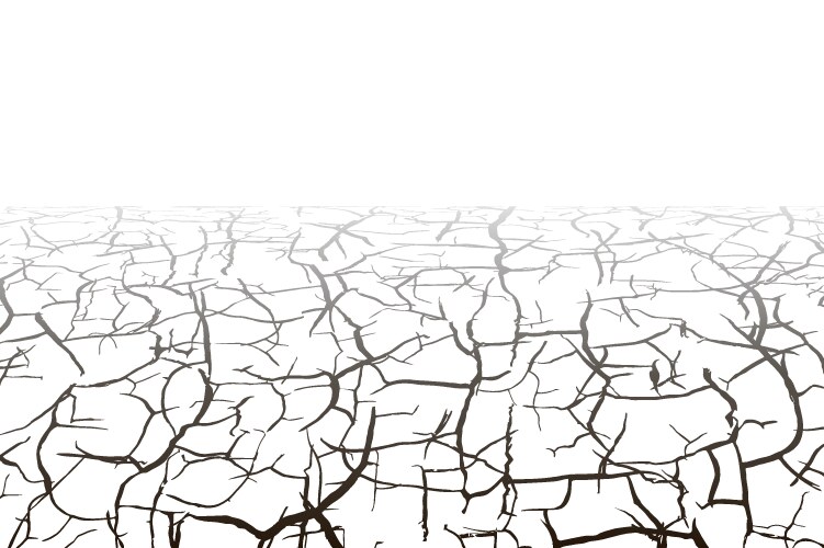 Dry cracked soil Royalty Free Vector Image - VectorStock
