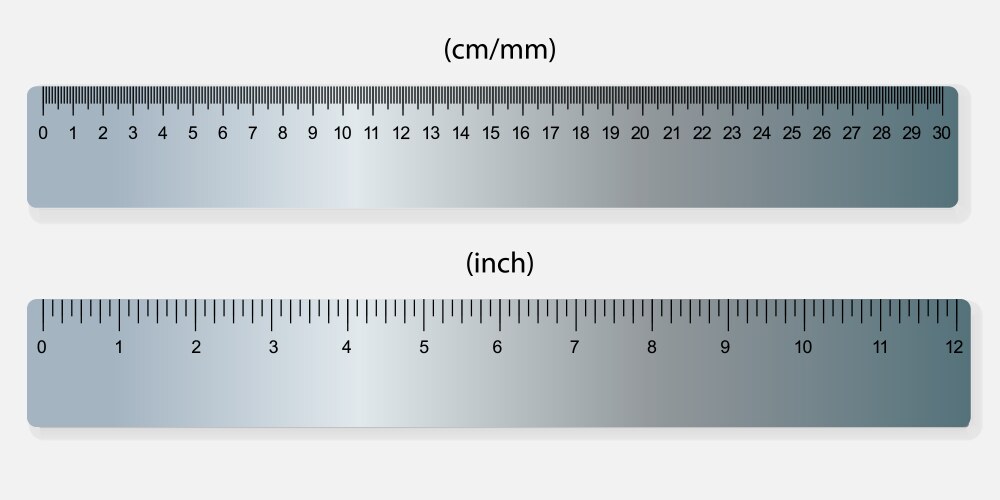 Measuring rulers school ruler metric scale Vector Image