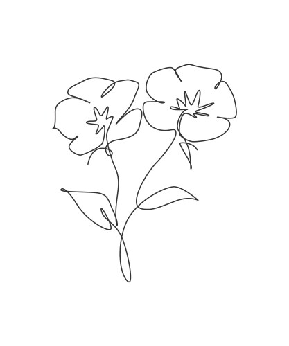 One single line drawing beauty fresh narcissus Vector Image