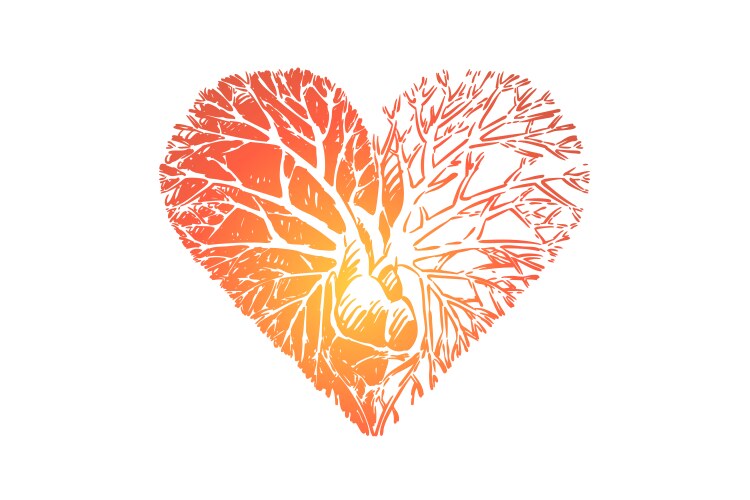 Love growing from heart metaphor kindness Vector Image