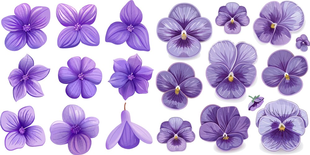 Isolated set flowers Royalty Free Vector Image