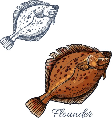 Flounder fish cartoon Royalty Free Vector Image