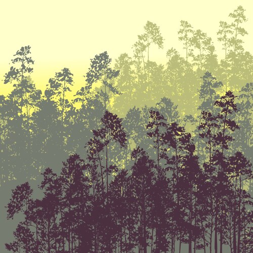 Set of different landscapes with trees Royalty Free Vector