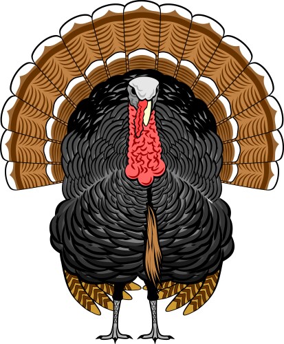 Turkey Vector Images (over 85,000)