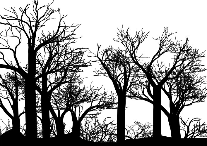 Palm forest treeline silhouette seamless border Vector Image