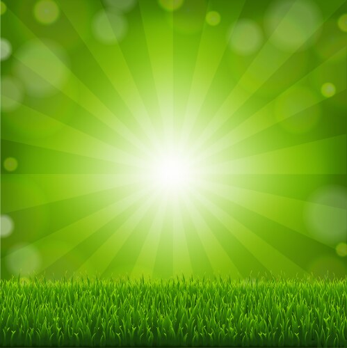 Green grass background Royalty Free Vector Image