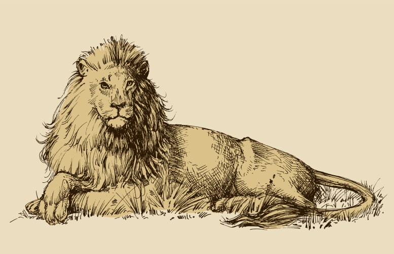 Lion Vector Images (over 110,000)