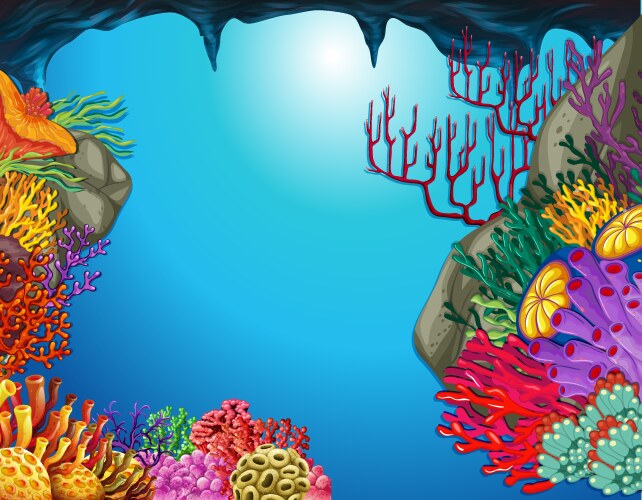 Coral Reef Drawing Vector Images (over 7,100)