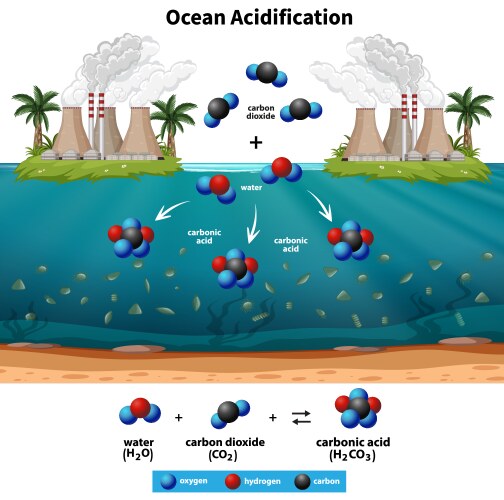 Carbon Cycle Diagram Vector Images (over 150)