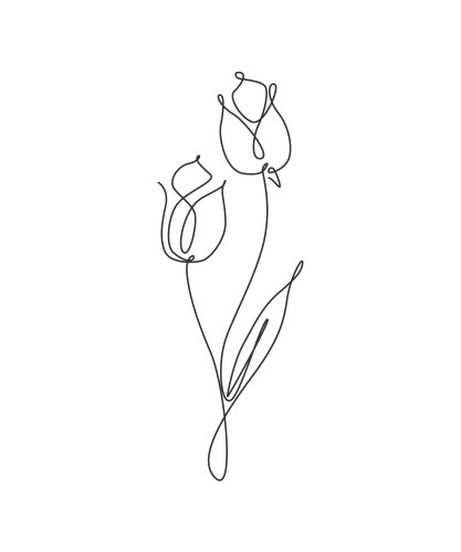One Single Line Drawing Beauty Tulip Flower Vector Image