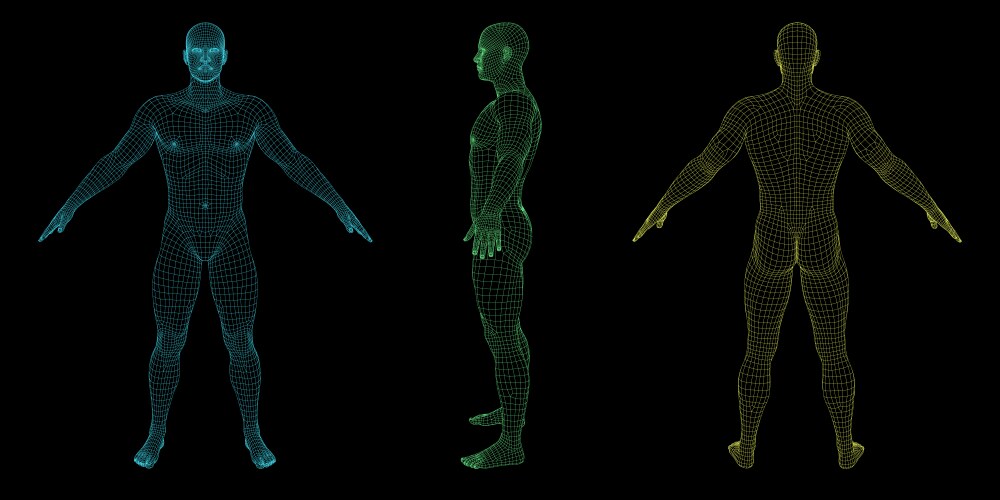 Human Body Front Back Outline Vector Images (over 650)