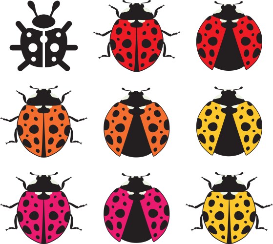 Cute ladybugs Royalty Free Vector Image - VectorStock