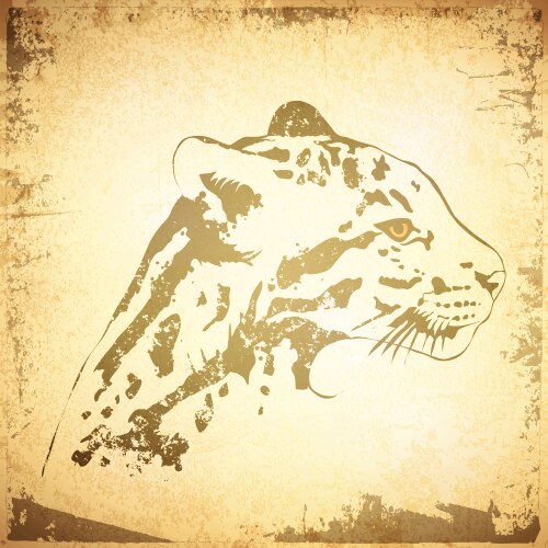 Jaguar Jungle Vector Images (over 9,400)