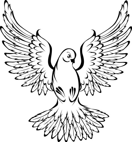 Dove Vector Images (over 60,000)
