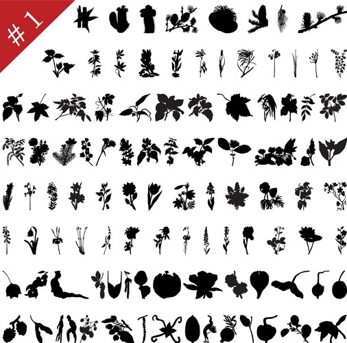 Plants Outline Vector Images (over 360,000)