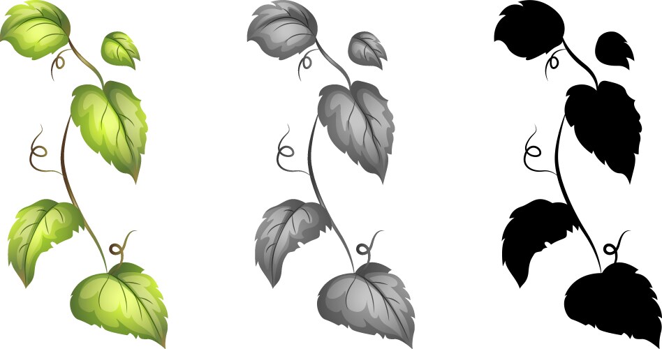 Vine Vector Images (over 76,000)