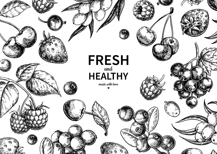 Collection of hand drawn sketched berries Vector Image