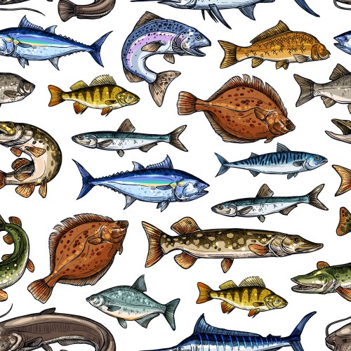 Fish set Royalty Free Vector Image - VectorStock