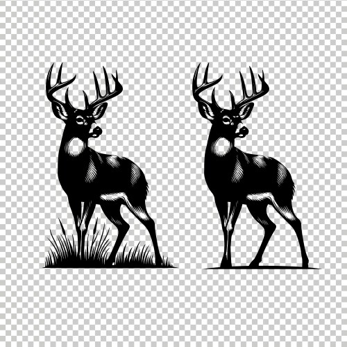 Whitetail Deer Vector Images (over 460)