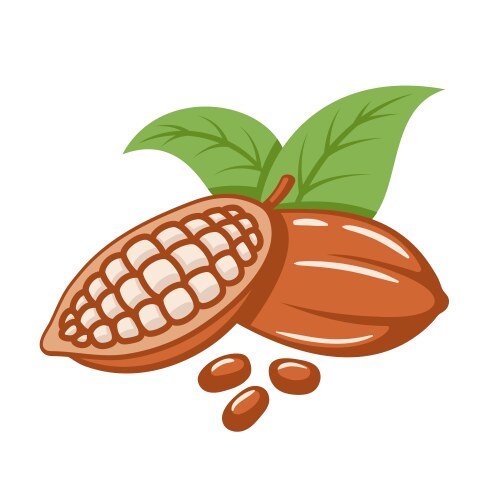Cocoa frame superfood drawing template Royalty Free Vector