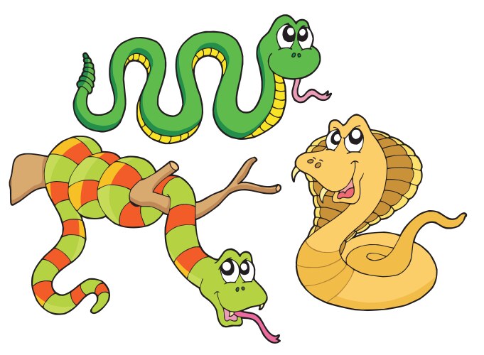 Collection of the big snakes Royalty Free Vector Image