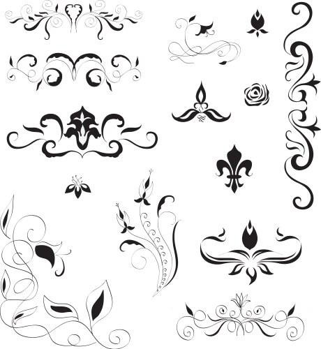 Floral design elements Royalty Free Vector Image