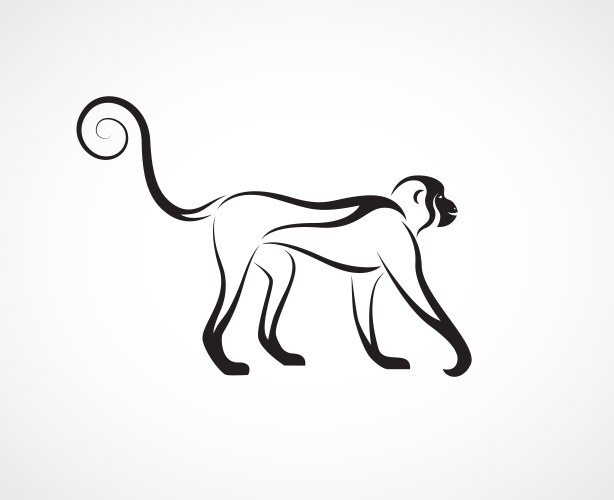 Monkey Outline Vector Images (over 9,500)