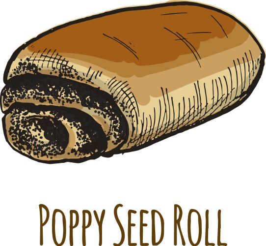 Poppy Seed Vector Images (over 2,300)
