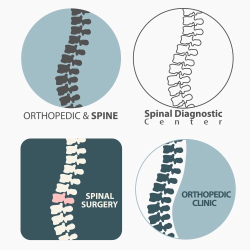 Spine Vector Images (over 32,000)