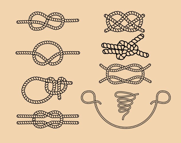 Boating knots Royalty Free Vector Image - VectorStock