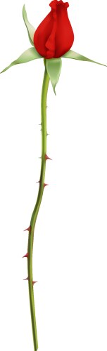 Ice rose Royalty Free Vector Image - VectorStock