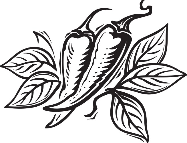 Pepper Vector Images (over 130,000)