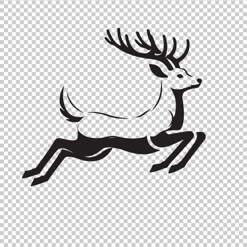 Whitetail deer Vector Images & Graphics for Commercial Use | VectorStock