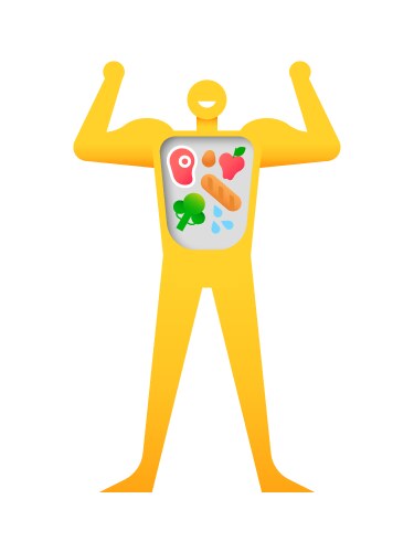 Balanced Diet Vector Images (over 31,000)