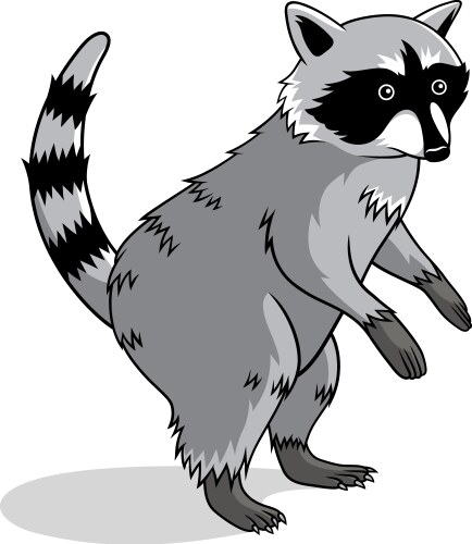 Raccoon Vector Images (over 20,000)