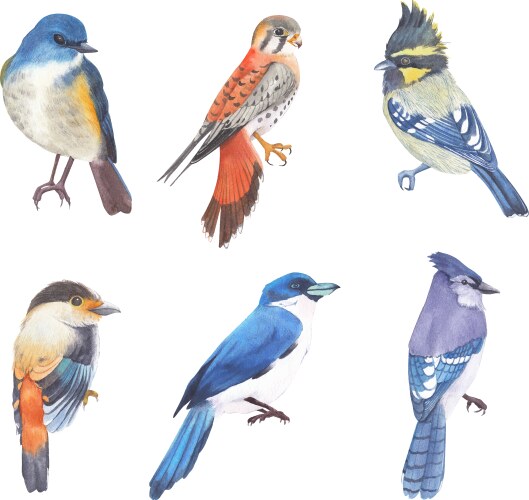 Free Bird Vector Images (over 18,000)