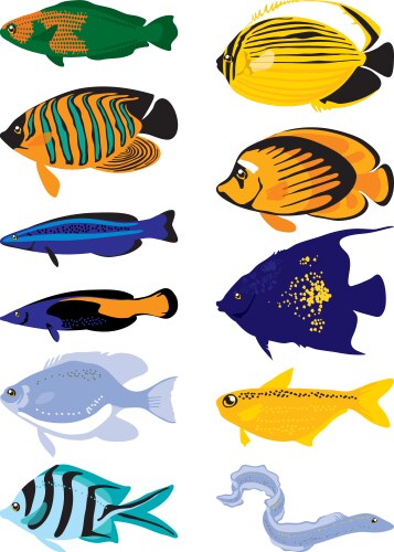 Collection of tropical fish Royalty Free Vector Image