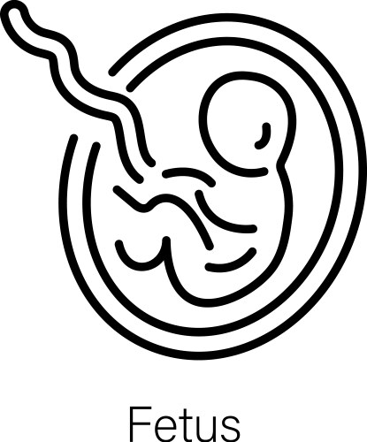 Fetus Vector Images (over 7,800)